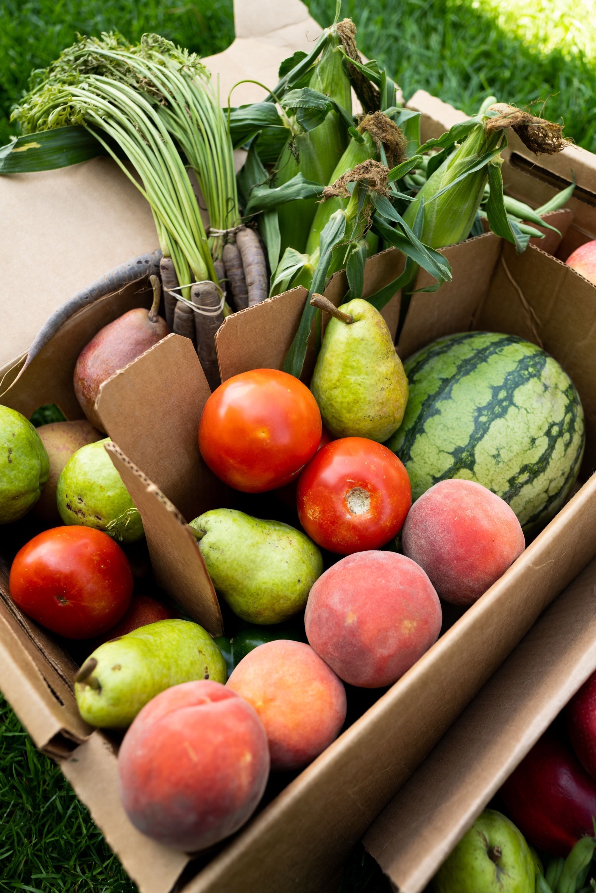 CSA Farm Box – Tagge's Farm